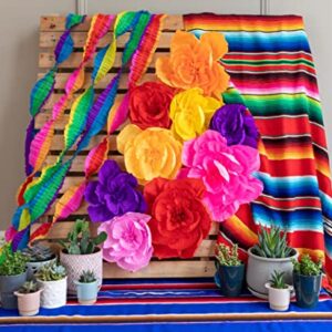 Riles & Bash Fiesta Streamer Backdrop with Crepe Paper Flowers and Ruffled Streamers (Fiesta)