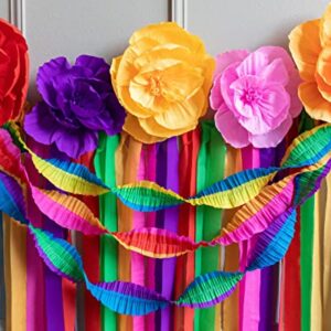 Riles & Bash Fiesta Streamer Backdrop with Crepe Paper Flowers and Ruffled Streamers (Fiesta)