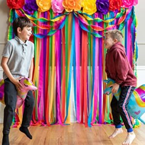 Riles & Bash Fiesta Streamer Backdrop with Crepe Paper Flowers and Ruffled Streamers (Fiesta)