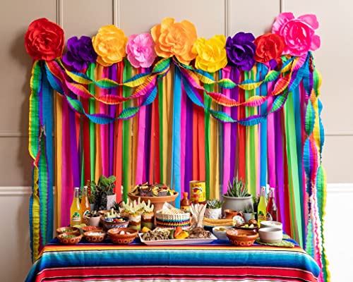 Riles & Bash Fiesta Streamer Backdrop with Crepe Paper Flowers and Ruffled Streamers (Fiesta)