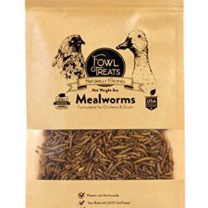 Fowl Treats Naturally Fortified Mealworms - Protein Rich Supplements Suitable for Hens and Ducks, Contains USA Grown Ingredients – Helps with Bone Strength, Feathers & Molt – 8oz