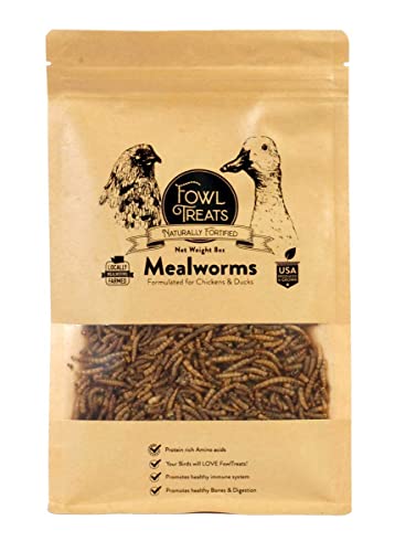 Fowl Treats Naturally Fortified Mealworms - Protein Rich Supplements Suitable for Hens and Ducks, Contains USA Grown Ingredients – Helps with Bone Strength, Feathers & Molt – 8oz