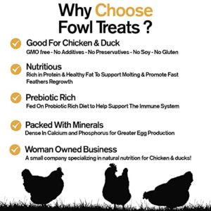 Fowl Treats Naturally Fortified Mealworms - Protein Rich Supplements Suitable for Hens and Ducks, Contains USA Grown Ingredients – Helps with Bone Strength, Feathers & Molt – 8oz