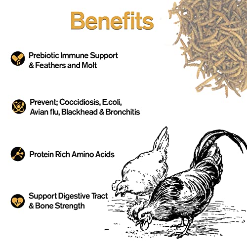 Fowl Treats Naturally Fortified Mealworms - Protein Rich Supplements Suitable for Hens and Ducks, Contains USA Grown Ingredients – Helps with Bone Strength, Feathers & Molt – 8oz