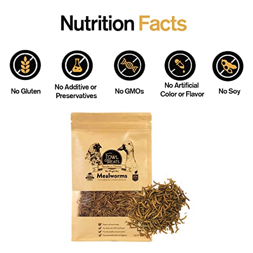 Fowl Treats Naturally Fortified Mealworms - Protein Rich Supplements Suitable for Hens and Ducks, Contains USA Grown Ingredients – Helps with Bone Strength, Feathers & Molt – 8oz