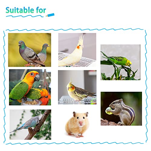 kathson Parrot Feeding Dish Cups,Stainless Steel Bird Food Water Bowl Parakeet Feeder Birds Cage Ball Toys with Clamp Holder for Cockatiel Macaw Budgies Small Animal Chinchilla (7 Pcs)