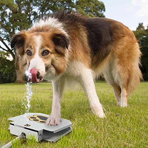 Outdoor Dog Water Fountain Step On, Dog Sprinkler Paw Activated Drinking, Dog Water Fountain with Hose, Easy to Use Pet Drinking Dispenser, Outdoor Fresh Cool Water for Dogs