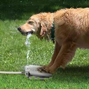 Outdoor Dog Water Fountain Step On, Dog Sprinkler Paw Activated Drinking, Dog Water Fountain with Hose, Easy to Use Pet Drinking Dispenser, Outdoor Fresh Cool Water for Dogs