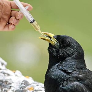 PDZZZD Bird Feeding Syringe Baby Bird Formula Feeding Tube