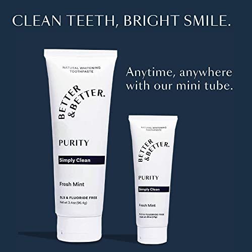 Better & Better Purity Toothpaste | Fluoride Free, SLS Free Toothpaste for Sensitive Brushers | 1 CT | Fresh Breath with Organic Mints | Natural, Vegan, Whitening Toothpaste to Remove Plaque