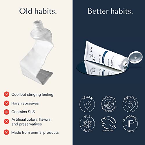 Better & Better Purity Toothpaste | Fluoride Free, SLS Free Toothpaste for Sensitive Brushers | 1 CT | Fresh Breath with Organic Mints | Natural, Vegan, Whitening Toothpaste to Remove Plaque