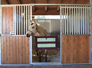 kensington stall guard for horses - aisle guard to secure horses - made of textilene - w/adjustable strap and complete hardware - 34 1/2 inches x 12 (imperial jade)