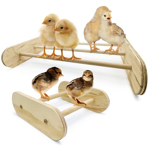 Backyard Barnyard Chick Perch and Mini Chicken Roosting Bar Set (2 Pack) Made in USA!!! Strong Natural Wood Jungle Gym Toys for Brooder and Coop Baby Birds Pollos Gallinas