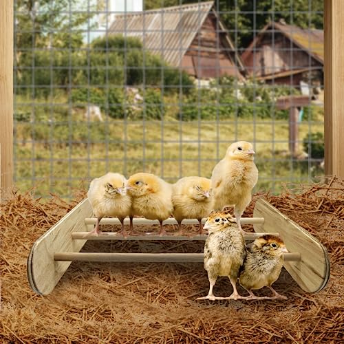 Backyard Barnyard Chick Perch and Mini Chicken Roosting Bar Set (2 Pack) Made in USA!!! Strong Natural Wood Jungle Gym Toys for Brooder and Coop Baby Birds Pollos Gallinas