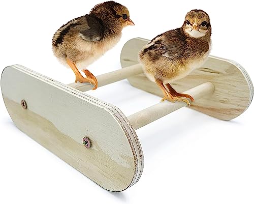 Backyard Barnyard Chick Perch and Mini Chicken Roosting Bar Set (2 Pack) Made in USA!!! Strong Natural Wood Jungle Gym Toys for Brooder and Coop Baby Birds Pollos Gallinas