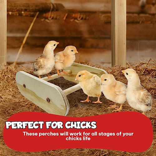 Backyard Barnyard Chick Perch and Mini Chicken Roosting Bar Set (2 Pack) Made in USA!!! Strong Natural Wood Jungle Gym Toys for Brooder and Coop Baby Birds Pollos Gallinas