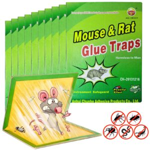 10 pack large mouse glue traps with enhanced stickiness glue traps for rat rodent cockroach and other household traps sticky pad board for house indoor outdoor