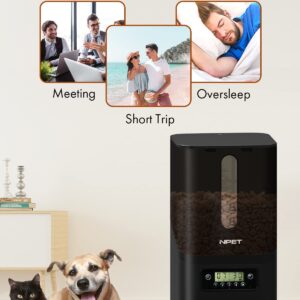 NPET Automatic Pet Feeder, 6L Dog and Cat Food Dispenser for Small & Medium Pets, Automatic Dog Feeder with Programmable Timer (Black)