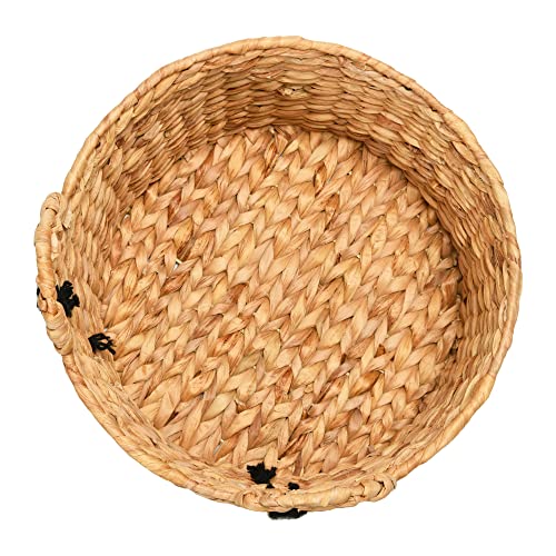 Creative Co-Op Hand-Woven Water Hyacinth Frog Basket, 15" L x 15" W x 11" H, Natural