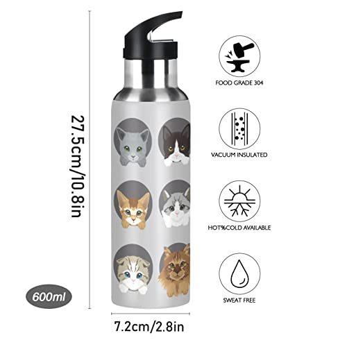 Cute Cat Kitten Water Bottle Kids Insulated Thermos Stainless Steel Hot Cold Water Flask Jug with Straw Lid for Sports Gym Running 20 oz