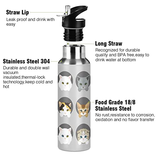 Cute Cat Kitten Water Bottle Kids Insulated Thermos Stainless Steel Hot Cold Water Flask Jug with Straw Lid for Sports Gym Running 20 oz