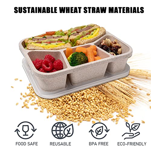 4 Pack Meal Prep Lunch Containers with 4 Compartments, Durable Bento Lunch Box, BPA Free, Wheat Straw Meal Prep Containers Reusable, Divided Food Storage Containers for Work