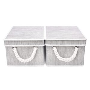 Foldable Fabric Storage Bin w/Cotton Rope Handles & Lid, Clay (11L), 2-Pack