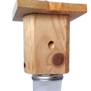 Mac's Best Brothers Natural Wood Cabin Style Carpenter Bee Trap - 1 Trap