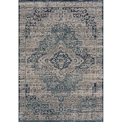 Bloom Rugs Traditional Blue Gray Area Rug - Vintage Boho 3x5 Rug for Entryways (3' x 5')