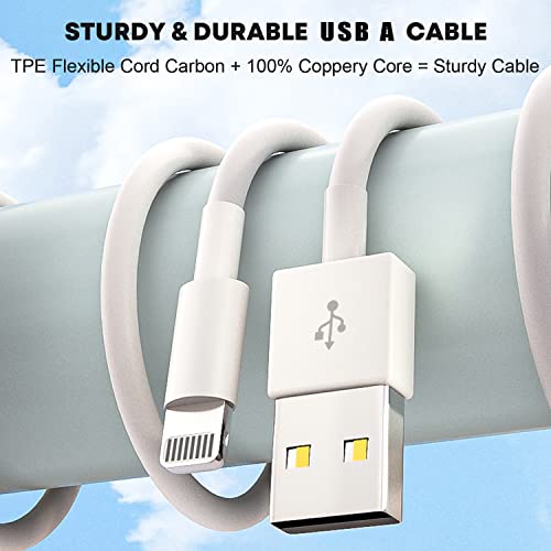 iPad iPhone Charger Fast Charging [Apple MFi Certified] 2 Set 6FT Lightning to USB Cable Cord with 12W Foldable Block iPhone Charging Travel Wall Plug Compatible for iPad, iPad Pro, iPad Air, iPhone