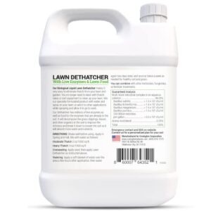 Covington Liquid Lawn Dethatcher, Liquid Aerator Aerating Soil Loosener to Condition Compacted Soil, Humic Grass Thatch Remover Buster, Kid and Pet Safe, 32 Oz