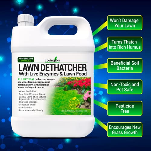 Covington Liquid Lawn Dethatcher, Liquid Aerator Aerating Soil Loosener to Condition Compacted Soil, Humic Grass Thatch Remover Buster, Kid and Pet Safe, 32 Oz