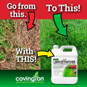 Covington Liquid Lawn Dethatcher, Liquid Aerator Aerating Soil Loosener to Condition Compacted Soil, Humic Grass Thatch Remover Buster, Kid and Pet Safe, 32 Oz