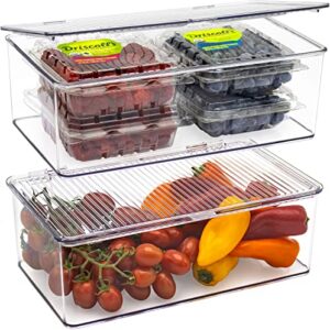 Sorbus Pantry Storage Organizer with Lids- Clear Plastic Refrigerator Organizer Bins- MultiPurpose & Versatile Stackable Cabinet Organizers- Cosmetics, Laundry, Office Supplies, Food Organizer- 2 Pack