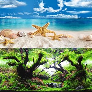 elebox fish aquarium background starfish blue sky beach shell seaweed fish tank poster background 19" x 48"