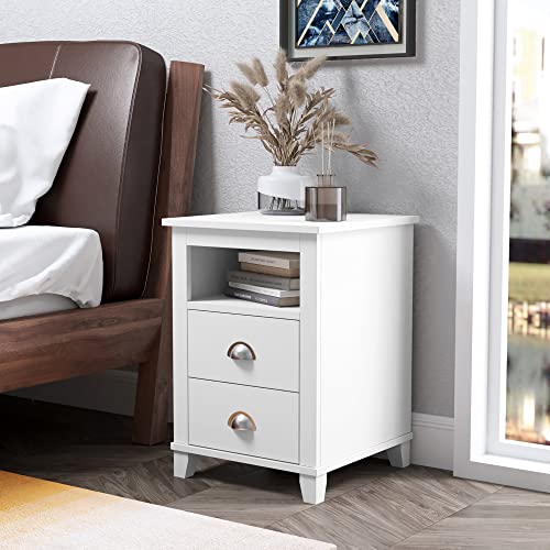 RAAMZO 2-Drawer White Finish Nightstand Side End Table Bedroom with Open Shelf 22" H