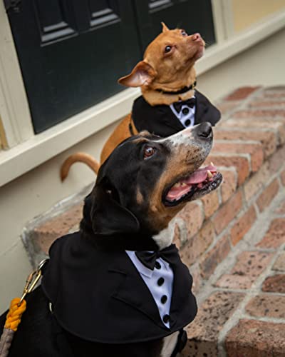 Dog Tuxedo Suit & Bow Tie Set by Pet Krewe, Stylish Wedding Tux Party Outfit for Small and Large Dogs