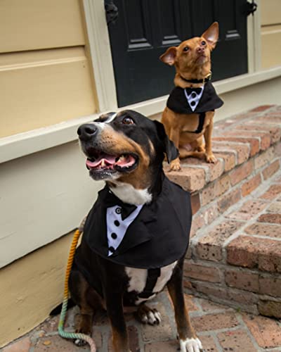 Dog Tuxedo Suit & Bow Tie Set by Pet Krewe, Stylish Wedding Tux Party Outfit for Small and Large Dogs