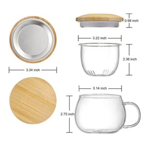 Glass Tea Infuser Cup Gift Set, Glass Teacups with Removable Strainer and Bamboo Lid for Steeping Blooming Tea, Loose Leaf Tea, Lead-free, Microwave & Dishwasher Safe,13oz/380ml