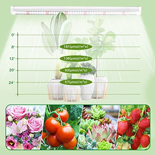 GYTF T5 Grow Lights, 408 LED-Bulb White Full Spectrum High PPFD Plant Light Strips for Indoor Plants Growing, Greenhouse, Seeds Starting, Succulents, Expandable Design (8x10W, 400W Equivalent)