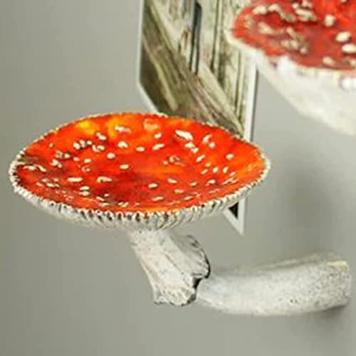 SLDHFE Hanging Mushroom Kitchen Wall Decor Shelf, Whimsical Creative Resin Amanita Mushrooms Unique Floating Cute Small Shelves for Bathroom Living Room Bedroom