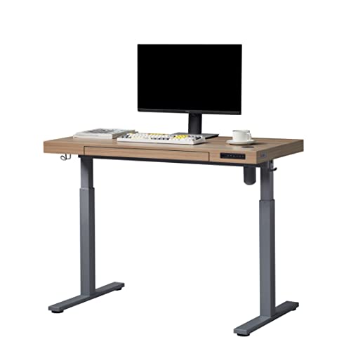 kowo Electric Height Adjustable Standing Desk with Drawer, 48" Home Office Wooden Computer Desk Ergonomic Memory Control Workstation Sit Stand Desk, Greige/Grey