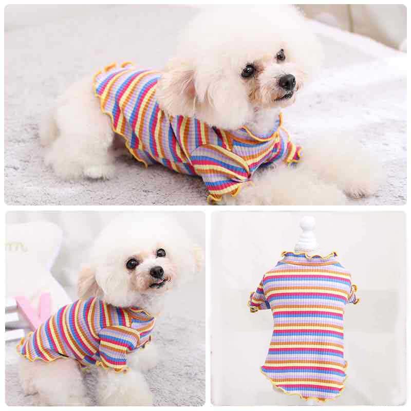 T'CHAQUE Cotton Dog Shirt Rainbow Striped Cat Tee Shirts, Breathable Soft Pet Basic Clothes for Small Medium Dogs/Cats, Adorable Puppy Apparel Cat Jumpsuit for All Season, Pets Clothing Pullover, L