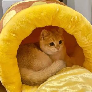 GOUXTD Cat Bed Cave Honeypot Cat House Indoor Cat Cute and Comfortable Pet Cat Sofa Cute and Comfortable Pet Cat House