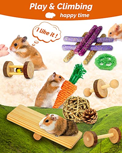 OVERTANG Hamster Toys, Guinea Pig Toys, 18 Pcs Wooden Hamster Toy Set Natural Apple Wood Small Animal Chew Molar Toys for Teeth for Rabbit, Chinchilla, Gerbils, Rats Exercise Accessories