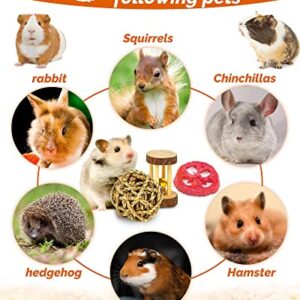 OVERTANG Hamster Toys, Guinea Pig Toys, 18 Pcs Wooden Hamster Toy Set Natural Apple Wood Small Animal Chew Molar Toys for Teeth for Rabbit, Chinchilla, Gerbils, Rats Exercise Accessories