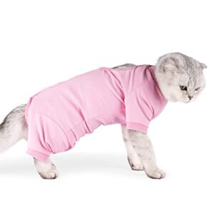 HEYWEAN Cat Professional Surgical Recovery Suit for Abdominal Wounds Skin Diseases, After Surgery Wear, E-Collar Alternative for Cats, Home Indoor Pets Clothing (Pink, M)