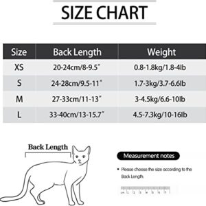 HEYWEAN Cat Professional Surgical Recovery Suit for Abdominal Wounds Skin Diseases, After Surgery Wear, E-Collar Alternative for Cats, Home Indoor Pets Clothing (Pink, M)