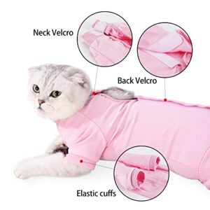 HEYWEAN Cat Professional Surgical Recovery Suit for Abdominal Wounds Skin Diseases, After Surgery Wear, E-Collar Alternative for Cats, Home Indoor Pets Clothing (Pink, M)