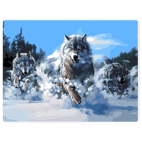 SXCHEN 60"x80" Blankets Plush Sofa Bed Throw Wolves Artistic Snowy Forest